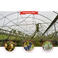 China Economical Multispan Rain Shelter Greenhouse with Hot Galvanized Steel Frame for Plants Cultivation for sale