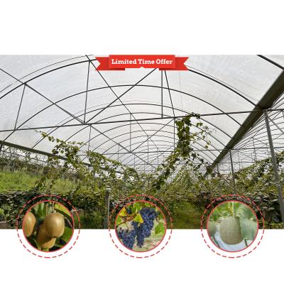 China Economical Multispan Rain Shelter Greenhouse with Hot Galvanized Steel Frame for Plants Cultivation for sale