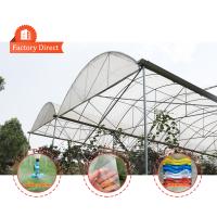 China Multi-Span Rain Shelter Greenhouse with PE Film Covering and Hot Galvanized Steel Frame in Customizable Sizes for sale