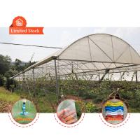 China Large Size PE Material Rain Shelter Greenhouse with Hot Galvanized Steel Frame for Plants Cultivation for sale