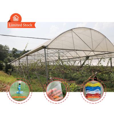 China Large Size PE Material Rain Shelter Greenhouse with Hot Galvanized Steel Frame for Plants Cultivation for sale