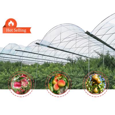 China PE Film Cover Rain Shelter Greenhouse with Hot Galvanized Steel Frame for Easy Assembly and Plants Cultivation for sale