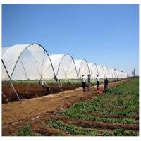 China Low Cost Plastic Film Rain Shelter Greenhouse with Hot Galvanized Steel Frame for Berry Planting for sale