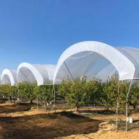 China Hot Galvanized Steel Frame PE Film Covering Multi-span Greenhouse with Customizable Size for Berry Planting for sale