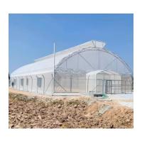China Serre Agricole Green House Metal Frame Horticulture Tropical Greenhouse Price for sale