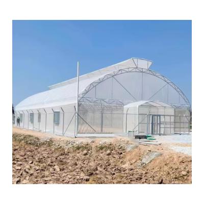China Serre Agricole Green House Metal Frame Horticulture Tropical Greenhouse Price for sale