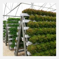 China Vertical Soilless Cultivation Planting Lettuce Hydroponic System Indoor Ebb Flow Hydroponics Growing System for sale