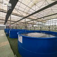 China Turnkey Commercial Greenhouse Aquaponics System With ABS Automatic Pump Water Saving Sustainable Aquaculture And Hydroponics for sale