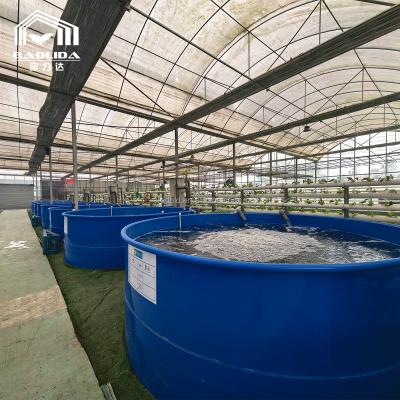 China Turnkey Commercial Greenhouse Aquaponics System With ABS Automatic Pump Water Saving Sustainable Aquaculture And Hydroponics for sale