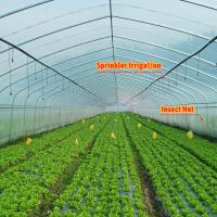 China Agricultural Single Span Tunnel Green House Sprinkler Irrigation Lettuce Greenhouse For Farm for sale