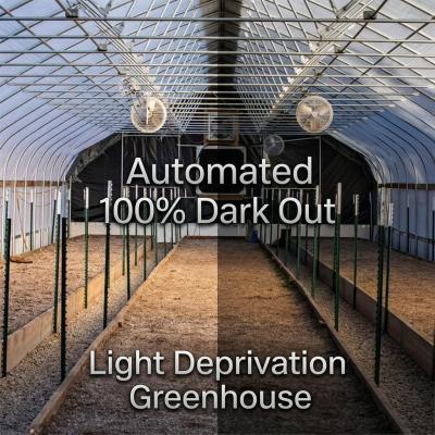 China 6-10m Span Light Deprivation Greenhouse with 100% Shading Black-White Film for sale