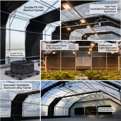 China Anti UV PE Film Light Deprivation Greenhouse With Automatic Ventilation System for sale