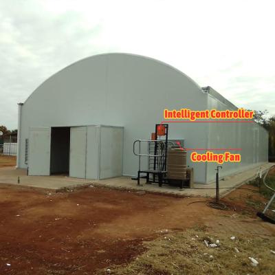 China Automated Light Deprivation Greenhouse with PE Film Covering and Hot Galvanized Steel Frame for sale