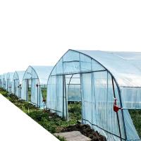 China Large 8x30m Single Tunnel Vegetable Greenhouse with Hot Dip Galvanized Steel Frame and 150micro PE Film Covering for sale