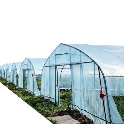 China Large 8x30m Single Tunnel Vegetable Greenhouse with Hot Dip Galvanized Steel Frame and 150micro PE Film Covering for sale