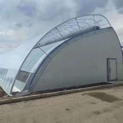 China Double Span Commercial Greenhouse with Hot Dip Galvanized Steel Tube Frame and 150/200micro PE Film Cover Featuring Manual or Electric Roll Up Ventilation for sale