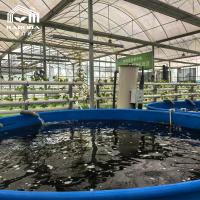 China Commercial Turnkey Aquaponics System Kit with Water Saving and Smart Control for Organic Farming for sale