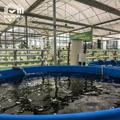 China Commercial Turnkey Aquaponics System Kit with Water Saving and Smart Control for Organic Farming for sale