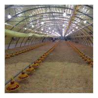 China Durable Single-Span Tunnel Greenhouse with Hot Dip Galvanized Steel Frame and 150/200micron PE Film Covering Featuring Manual or Electric Roll-Up Ventilation for sale