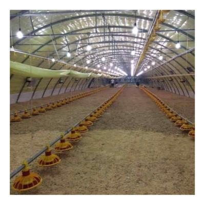 China Durable Single-Span Tunnel Greenhouse with Hot Dip Galvanized Steel Frame and 150/200micron PE Film Covering Featuring Manual or Electric Roll-Up Ventilation for sale