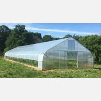China Single Span High Tunnel Greenhouse with Hot Dip Galvanized Steel Tube Frame and 150/200micro PE Film Covering Featuring Manual or Electric Roll Up Ventilation for sale