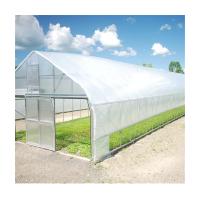 China Low Cost High Tunnel Greenhouse with Hot Dip Galvanized Steel Tube and 150/200micro PE Film Featuring Manual or Electric Roll Up Ventilation for sale