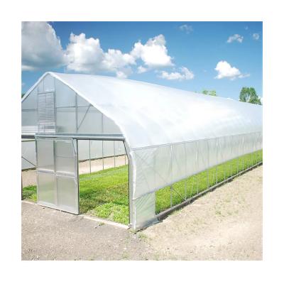 China Low Cost High Tunnel Greenhouse with Hot Dip Galvanized Steel Tube and 150/200micro PE Film Featuring Manual or Electric Roll Up Ventilation for sale