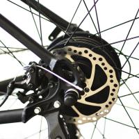 China 36v electric bike 29 inch  250W electric off road motorcycle for sale