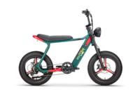 China Adult Hybrid Electric Mountain Bike  8 Speed  Lithium Battery power supply for sale