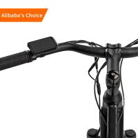 China Light Green Thailand Electric City Bike 16.5AH Lithium Battery 250w for sale