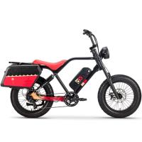 China 250W 750w Elektrische Fiets Bicycle Battery 48v 20AH Fat Tire For Adults for sale
