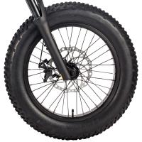 China 250W 750w Elektrische Fiets Bicycle Battery 48v 20AH Fat Tire For Adults for sale