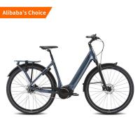China Two Wheel Electric Road Bike Warehouse High Speed 25km/H 750w High Power for sale