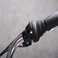 China 200 Watt 12 Inch Electric Bike Portable Battery 300 Lb Weight Limit 30 Km/H for sale