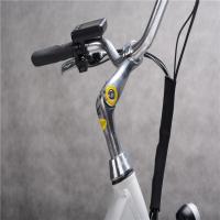 China 200 Watt 12 Inch Electric Bike Portable Battery 300 Lb Weight Limit 30 Km/H for sale