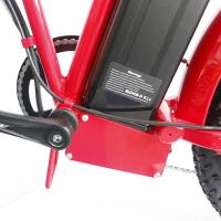 China Foldable 48v Electric Bike 500w 36V 350W 48v E-Bike Battery for sale