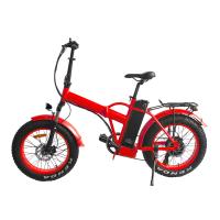 China Rear Hub Motor Folding Portable Electric Bike 48V 500W 20