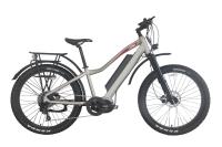 China E Bike 26 Inch 48v 1000w Electric Bike 26 Inch Wheel Electric Bicycle Strong Off Road for sale