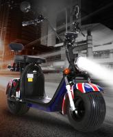 China Harleyment Electric Scooter For Ladies Women 1500w Two Adults 2 Removable Batteries for sale