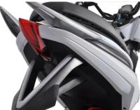 China Citycoco Electric Scooter Motorcycle Adult  Handicap   1500w for sale