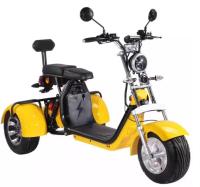 China 1000W 3 Wheel Harley Electric Scooter Bike Off Road Citycoco Fat Tire Old People Ride Tricycles for sale