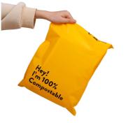 China Tear Resistant Self Adhesive Courier Bags Customized Bubble Wrap Courier Bags for sale