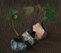 China Tear Resistant Folding Paper Packaging Calcium Carbonate 80%  Wood Free for sale