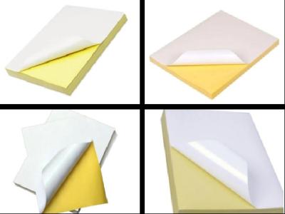 China Customized Waterproof Notebook Stone Paper For Frozen Packaging for sale