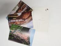 China Fast Offset Printing Stone Paper Waterproof Tear Resistant Eco Friendly for sale