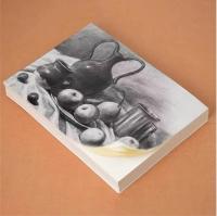 China Tear Resistant Stone Paper Notebook Flat Surface Fire-Resistance For Printing Sketch for sale