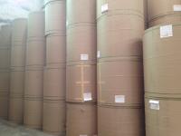 China Waterproof Untearable rolled-up paper 120gsm 144gsm 168gsm 192ggsm 216gsm 240gsm stone paper for Printing Map for sale