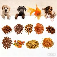 China 40kg/H-700kg/H Pet Food Machine Variable Frequency Pet Food Extruder for sale
