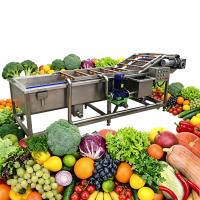 China 500kg/H-3000kg/H Bubble Cleaning Machine Fruit And Vegetable Cleaning Machine for sale