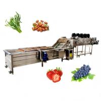 China 500kg/H-3000kg/H Bubble Cleaning Machine Fruit And Vegetable Cleaning Machine for sale